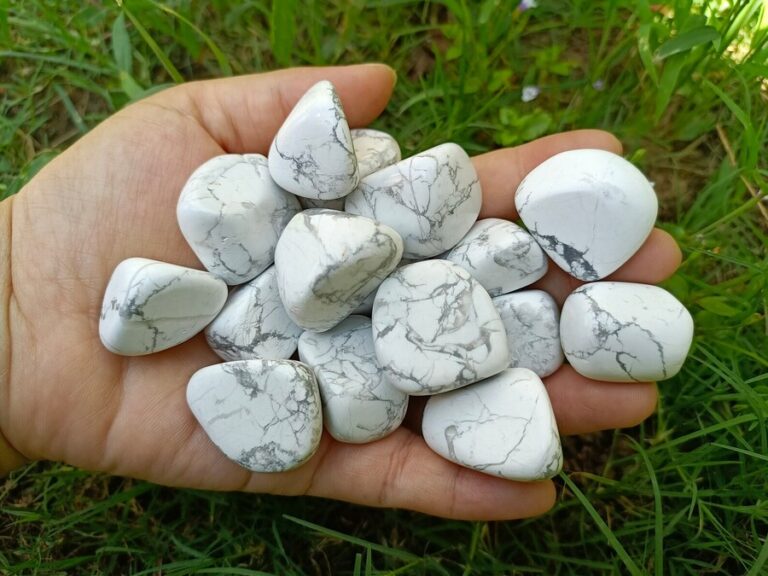 9 White Buffalo Stone Spiritual Meanings and Powers