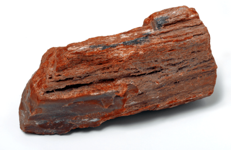 7 Spiritual Meanings of Petrified Wood (Healing Properties)